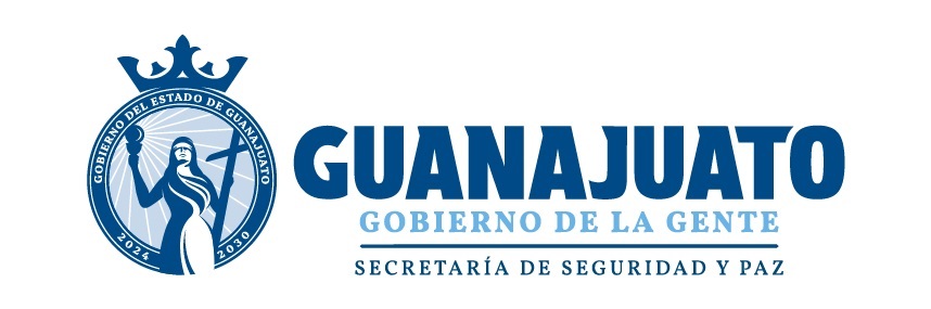 Acceso - Sistema escuelas de manejo